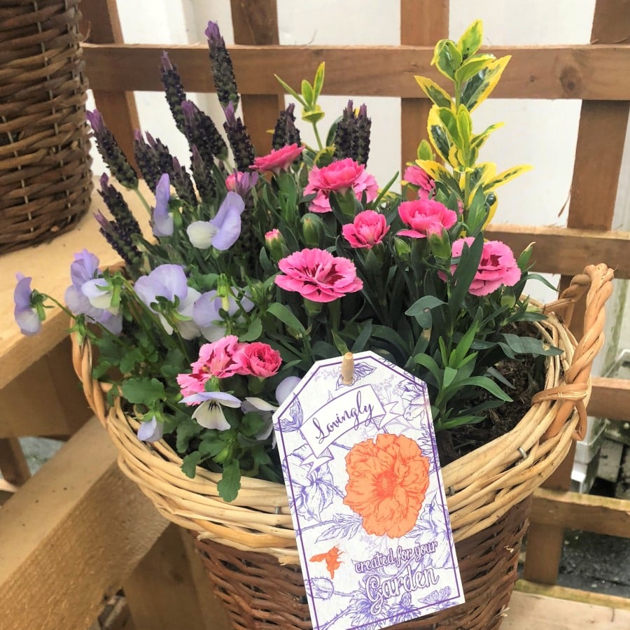 Rochdale Garden Centre - Gordon Rigg