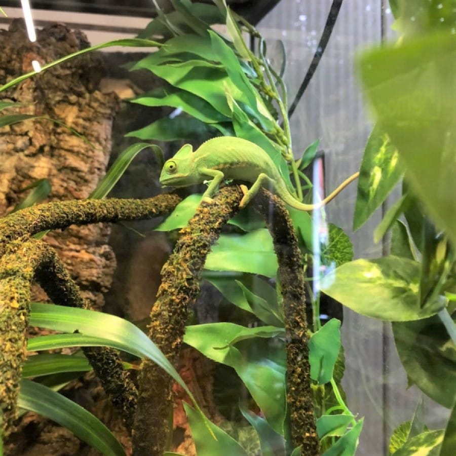 Rochdale Garden Centre - Gordon Rigg