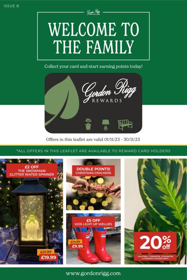 November Rewards - Gordon Rigg