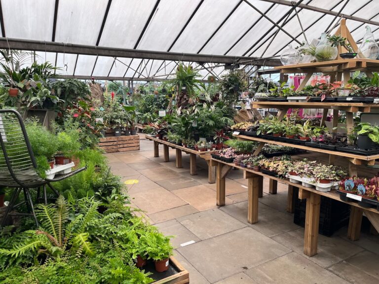 Plants - Gordon Rigg