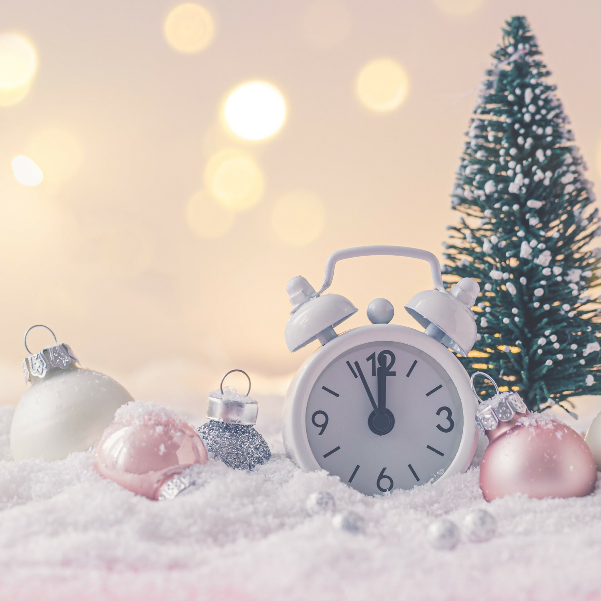 Gordon Rigg Garden Centres - Huge Range of Indoor & Outdoor Products