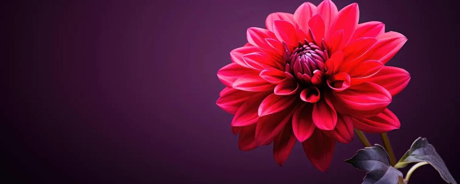 Gordon Rigg Garden Centres - Huge Range of Indoor & Outdoor Products