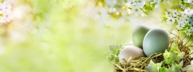 Gordon Rigg Garden Centres - Huge Range of Indoor & Outdoor Products