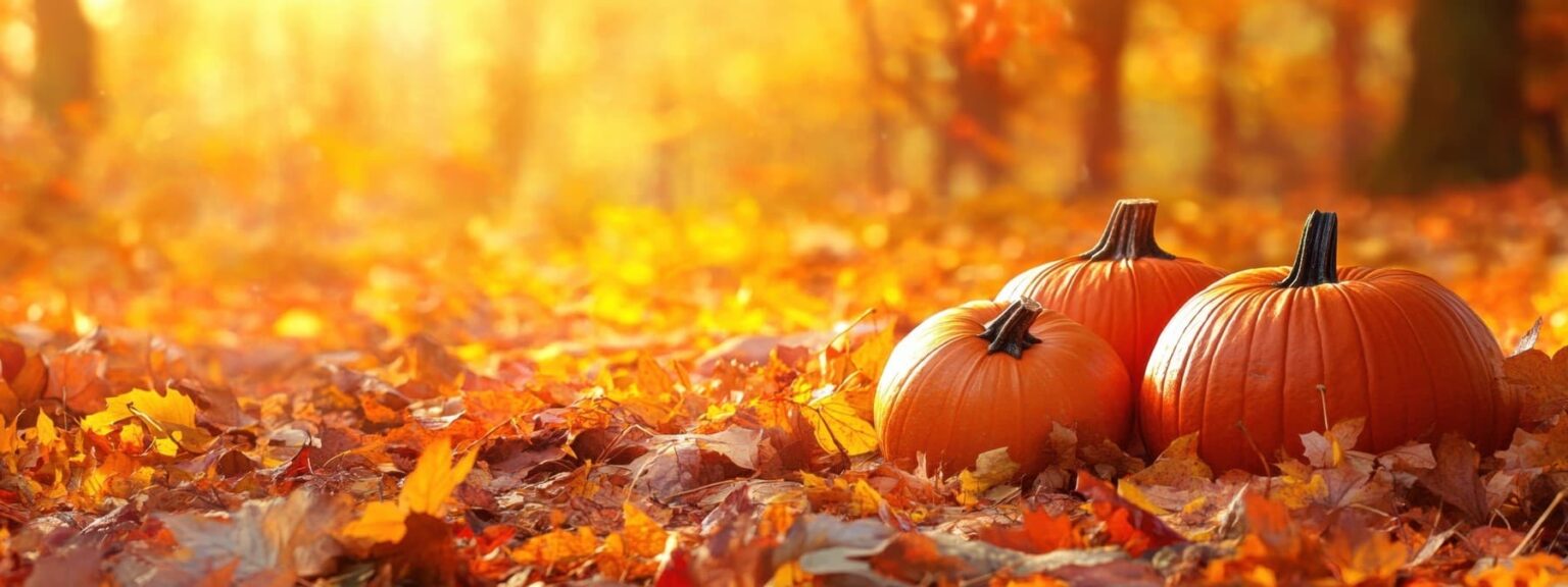 Gordon Rigg Garden Centres - Huge Range of Indoor & Outdoor Products